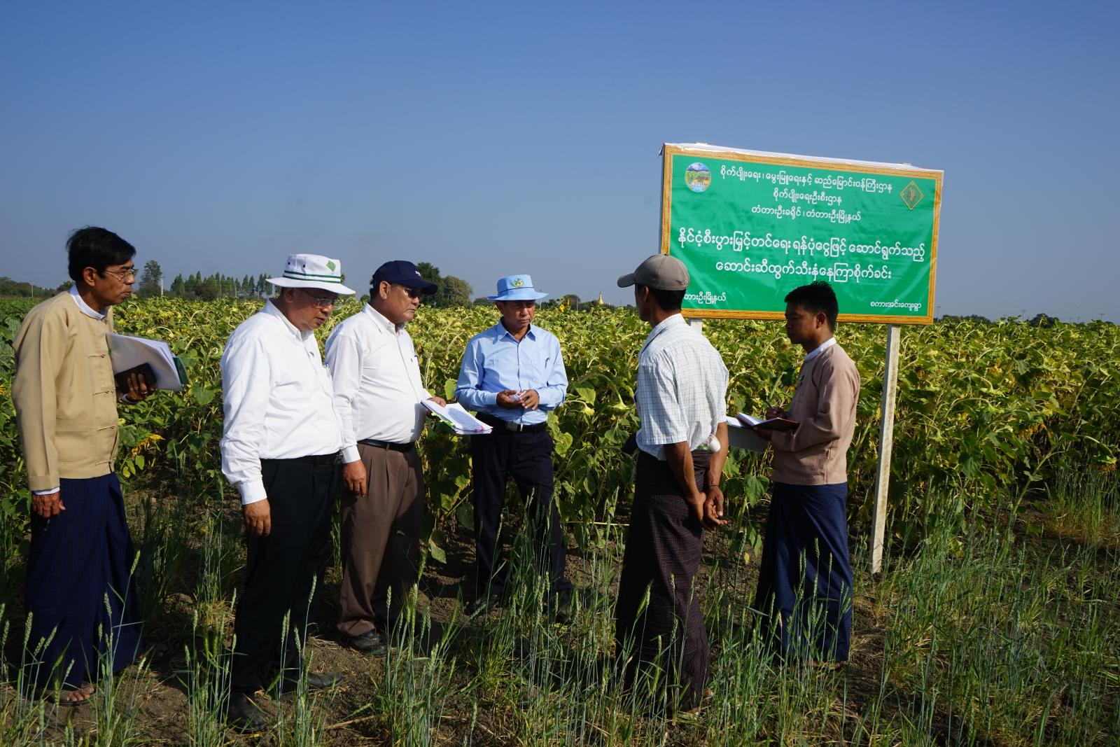 စိုက်ပျိုးရေး၊ မွေးမြူရေးနှင့်ဆည်မြောင်းဝန်ကြီးဌာန ဒုတိယဝန်ကြီး နိုင
